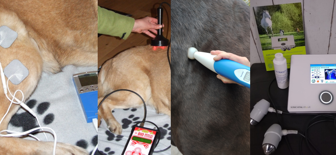 physikalische Therapien – Chiropraktik für Tiere physikalische Therapien – Chiropraktik für Tiere
